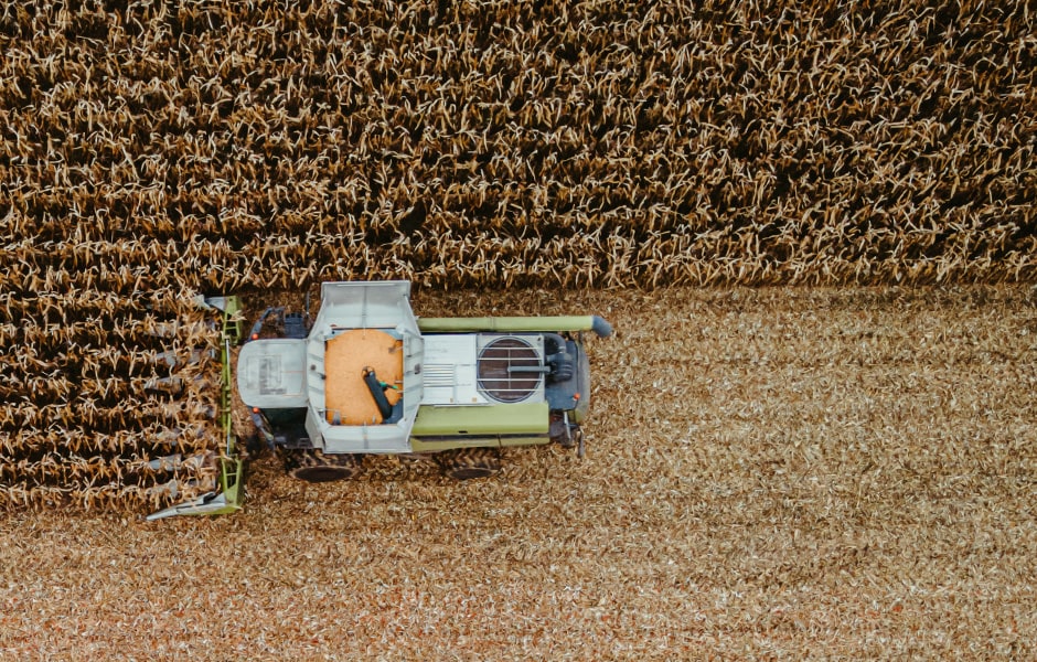 New Crop Weekly options – FAQs - CME Group