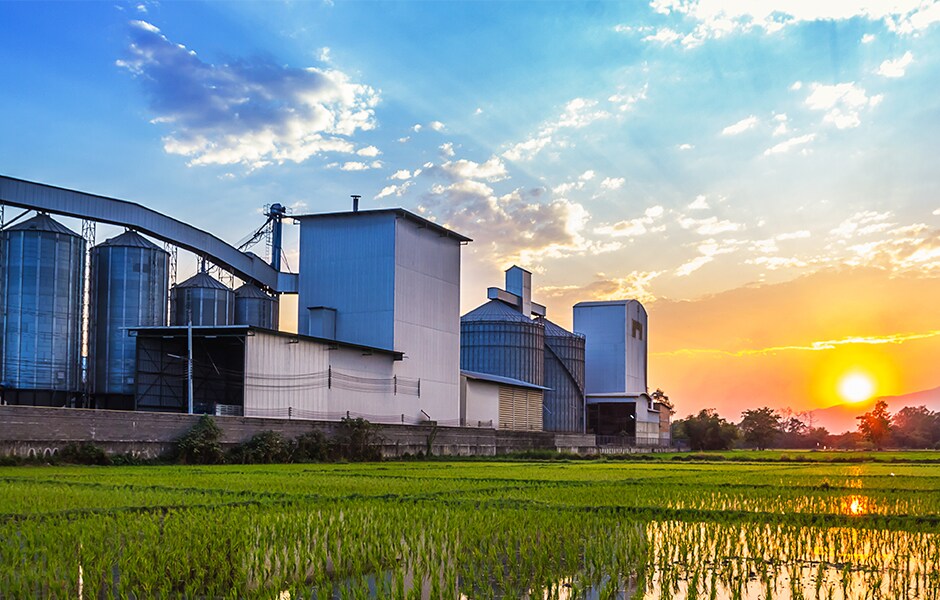 Rough Rice Milling Yield Premium and Discount Calculator - CME Group