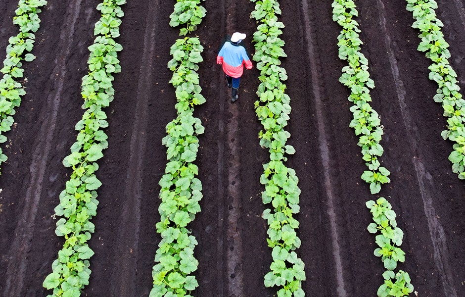 Introduction to Micro Ag Futures - CME Group
