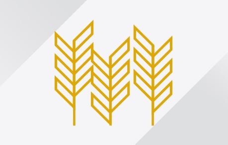 Understanding Seasonality in Grains - CME Group