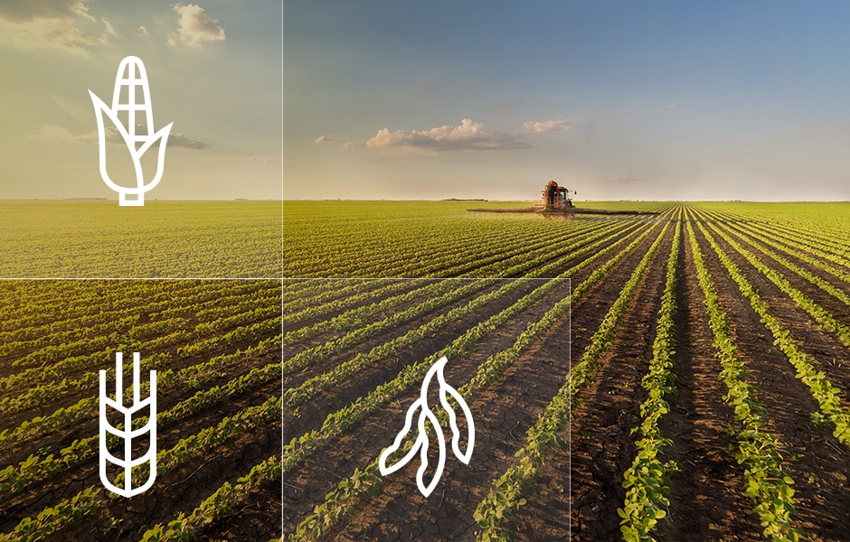 Options Strategies in Grain: Part 1 - CME Group