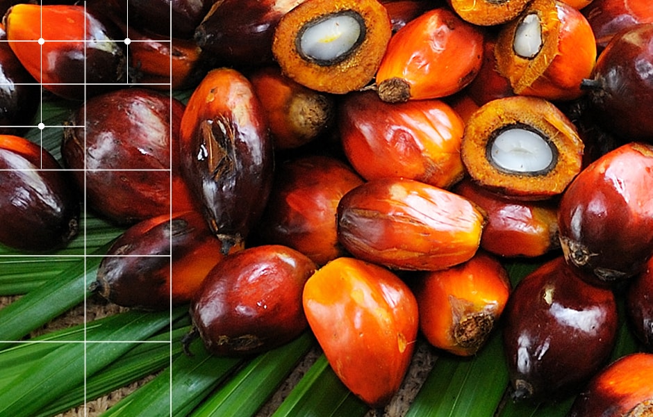 Palm Oil Spread Volatility Creates Opportunities - CME Group
