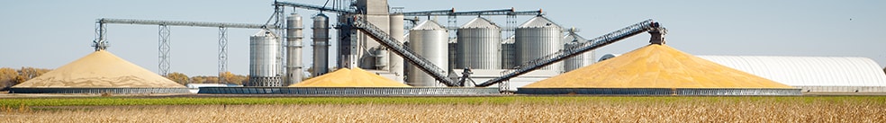 Relationship between Major Grain Commodity Benchmarks and Equities ...