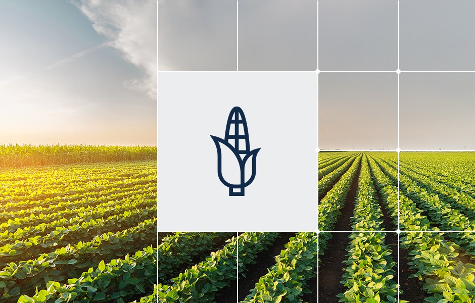 Webinar - Trading Grain and Livestock Options at CME Group - CME Group