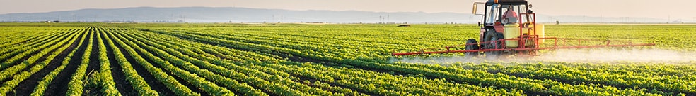 Ag Market Signals - CME Group