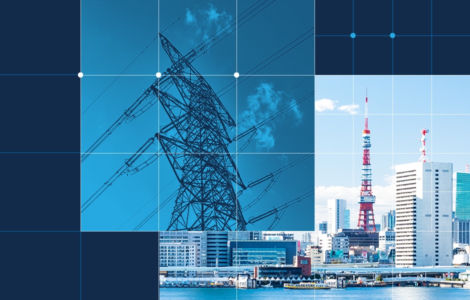 Introduction to the Japanese power market - CME Group