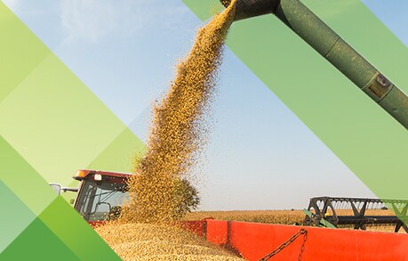 Soybean Crush Reference Guide - CME Group