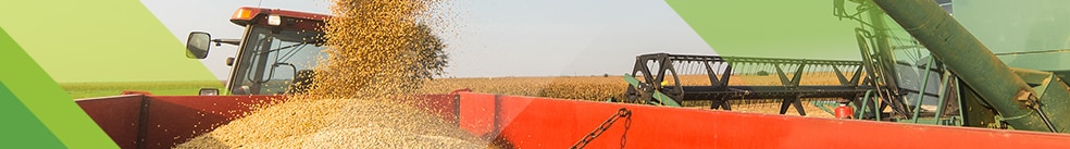 Soybean Crush Reference Guide - CME Group