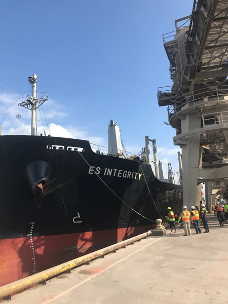 Strong Dollar's Impact On Grain Exports - Benzinga