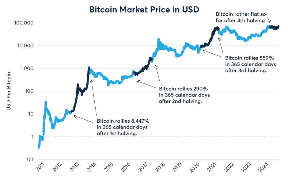 Investors Education Is Bitcoin Post-Halving Rally Underway After the ...