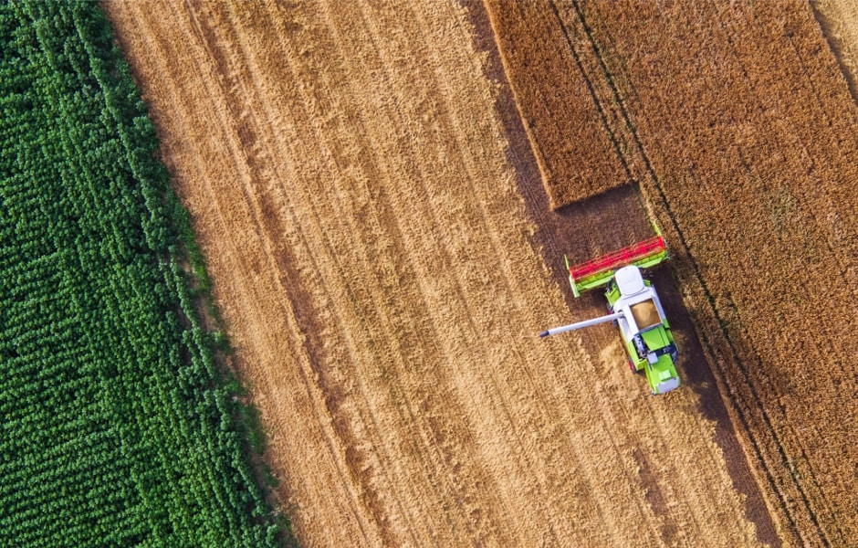 Grain Calendar Spread options - CME Group