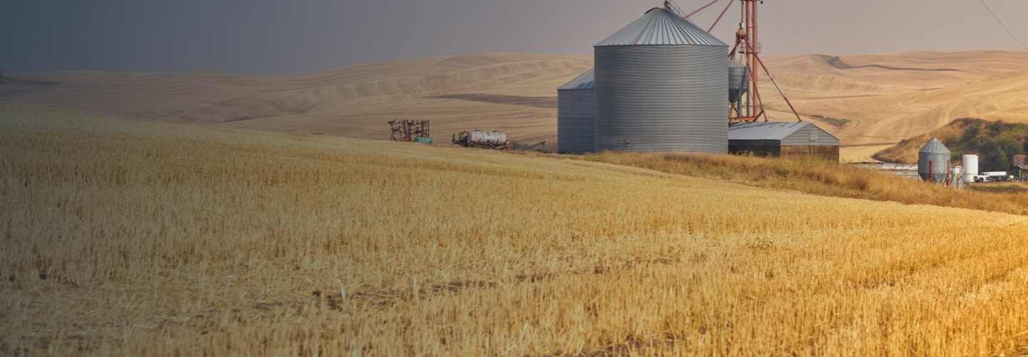 Grains and oilseeds