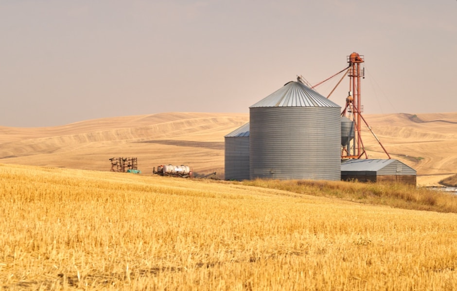 Grain and Oilseed futures and options - CME Group