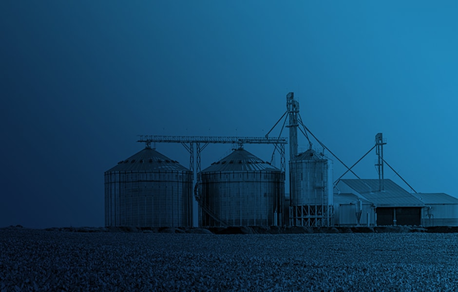 Grains and oilseeds