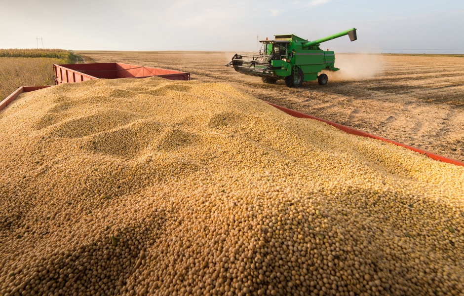 Micro Soybean Meal Overview - CME Group