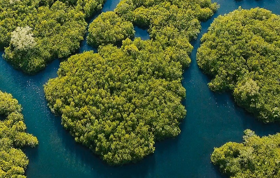 Voluntary Carbon Emissions Offset Futures Product Group - CME Group