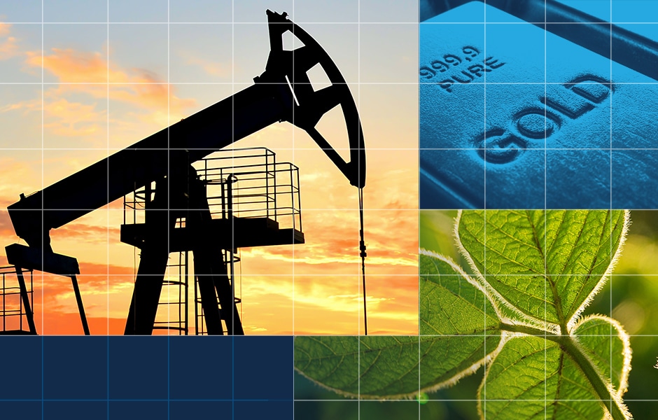 FTSE CoreCommodity CRB Index Overview - CME Group