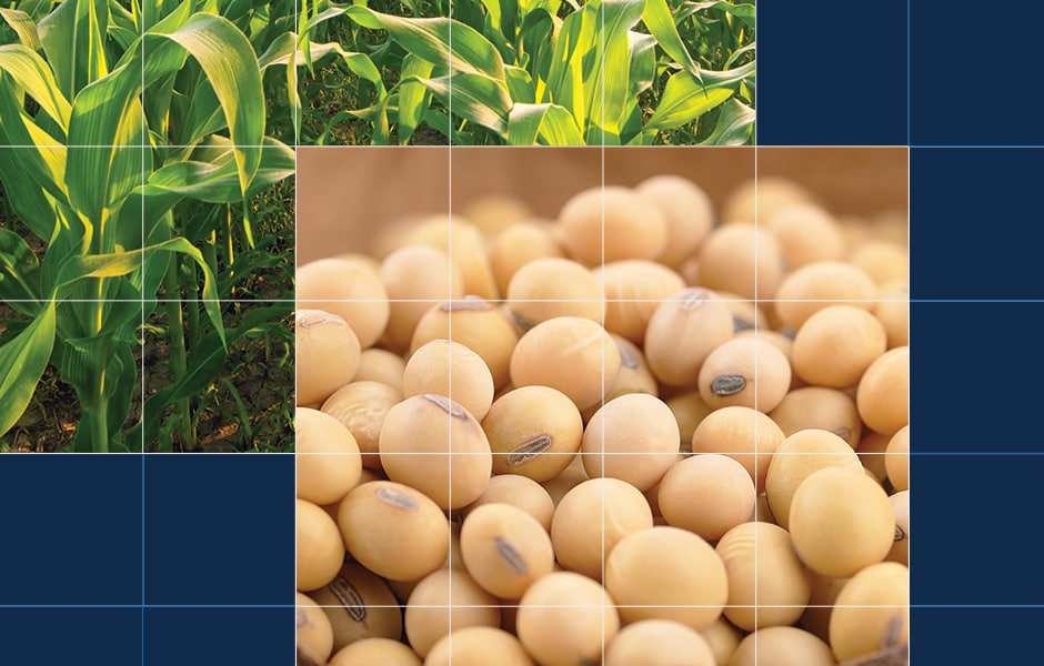 Agri-Update Latin America
