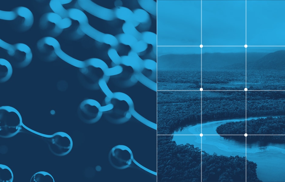 Climate Markets Update from Carbon Pulse