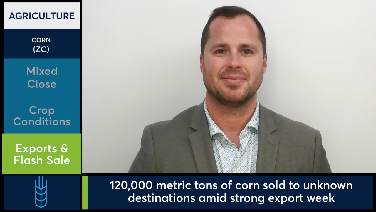 Corn futures report strong export demand as inspections rise. - CME Group