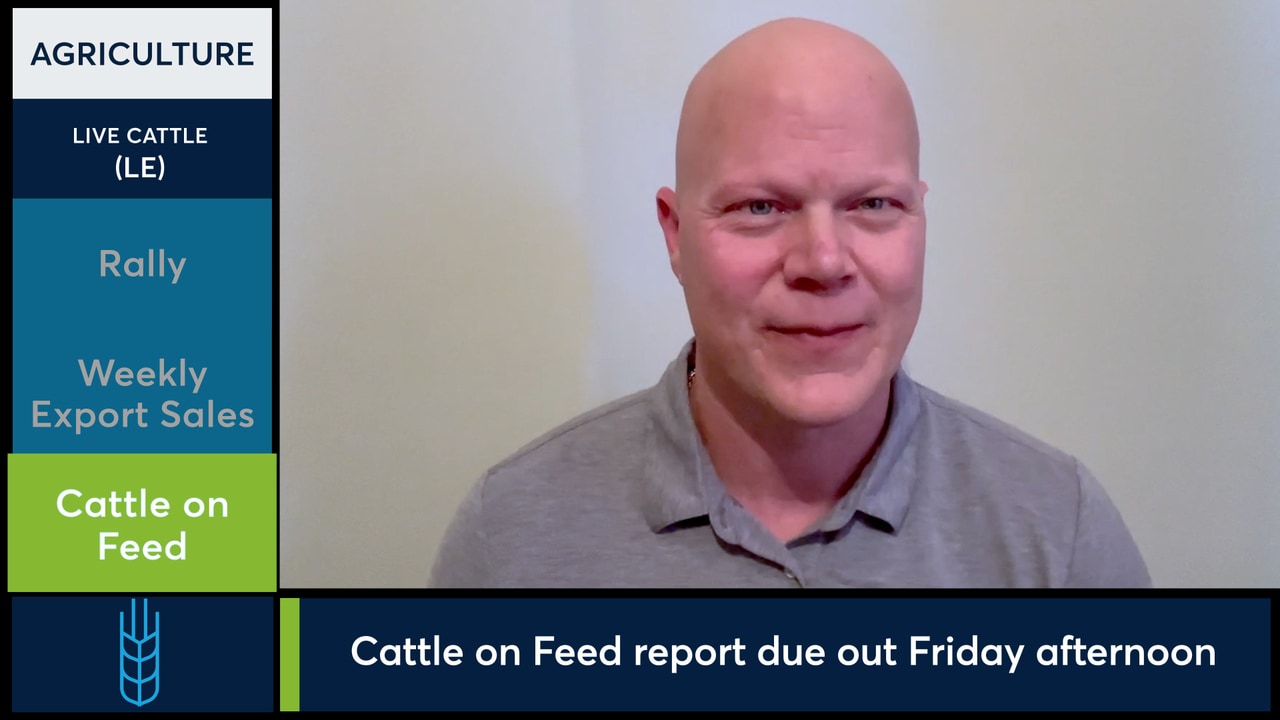 June Live Cattle futures post fresh contract high. - CME Group