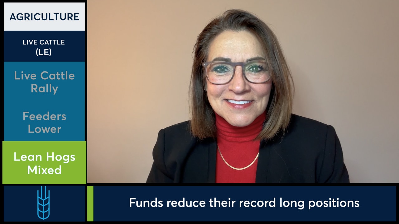 Live Cattle futures rally. Feeders lower. Lean Hogs mixed. 12/16/24 ...