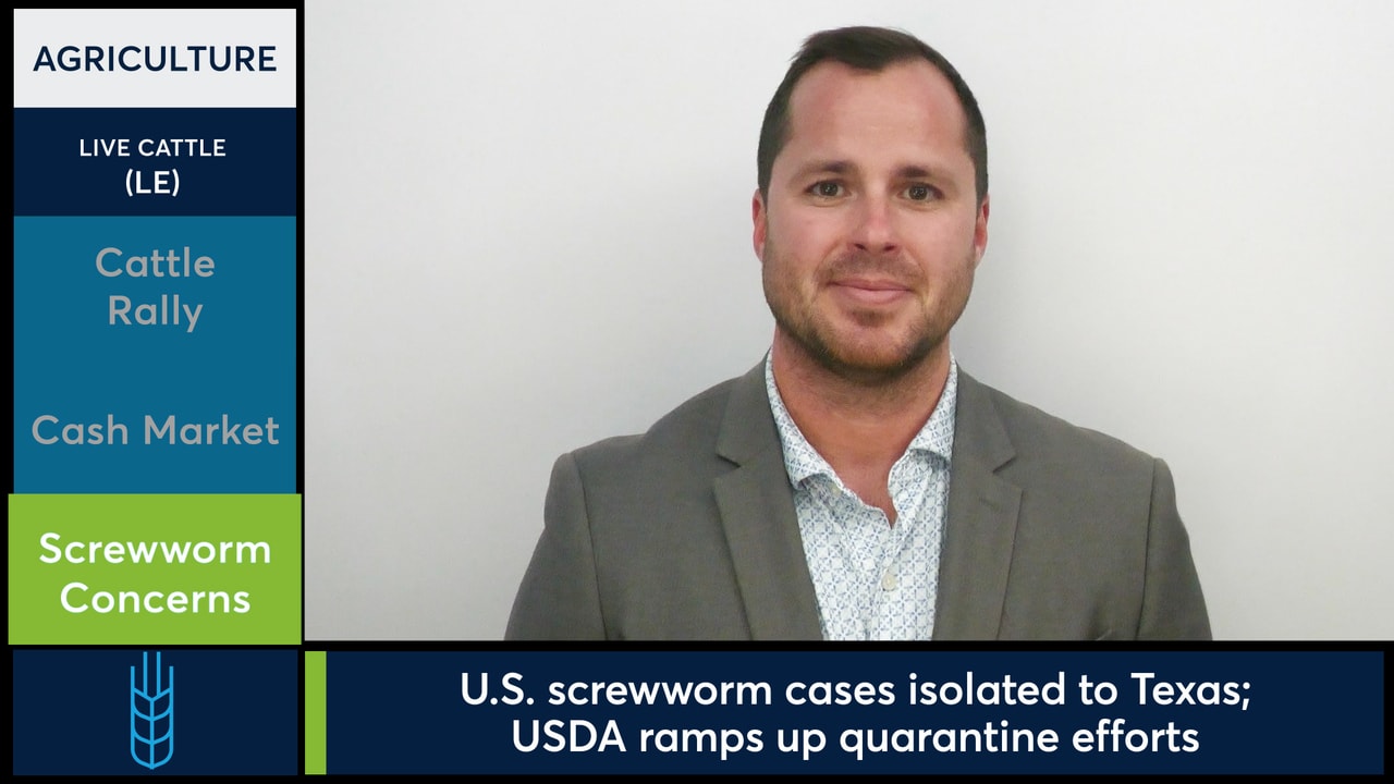 Live Cattle futures recover as USDA ramps up screwworm efforts. - CME Group