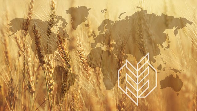 Why The Global Role For U.S. Wheat Is Changing - OpenMarkets