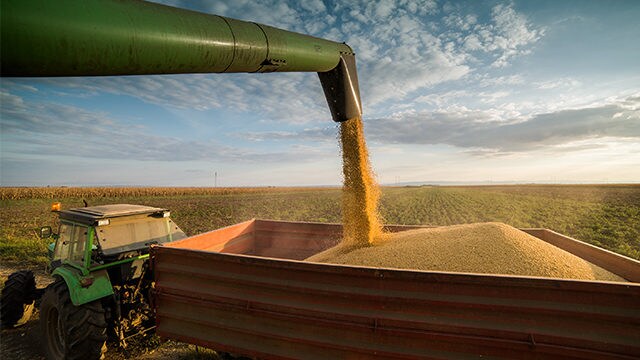 Why Brazil has Grown as a Soybean Producer - OpenMarkets