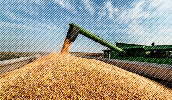 As Demand for Corn Grows, New Key Data Points to Watch - OpenMarkets
