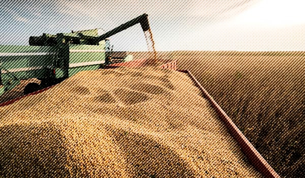 The Biggest Risks for Ag Producers Heading into Fall - OpenMarkets