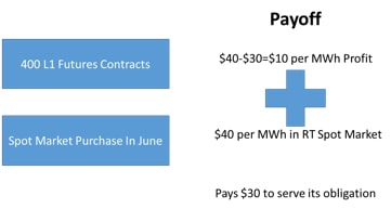 Energy Market and Risk Management with Options