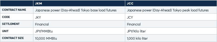 Introduction to the Japanese power market