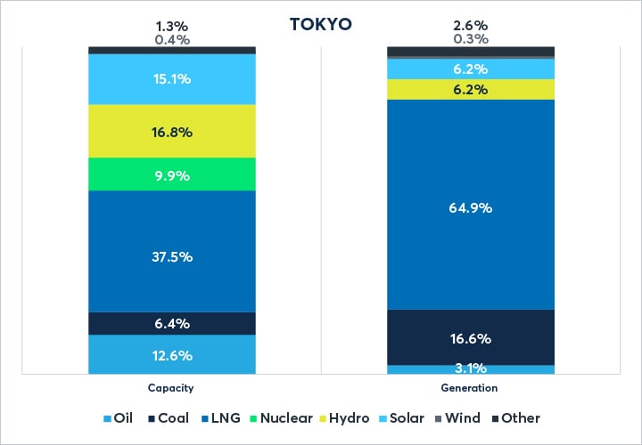 Introduction to the Japanese power market