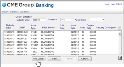 Adding or Viewing a New CUSIP/ISIN