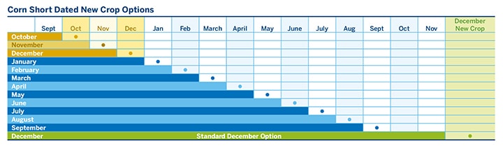 what is a short dated option