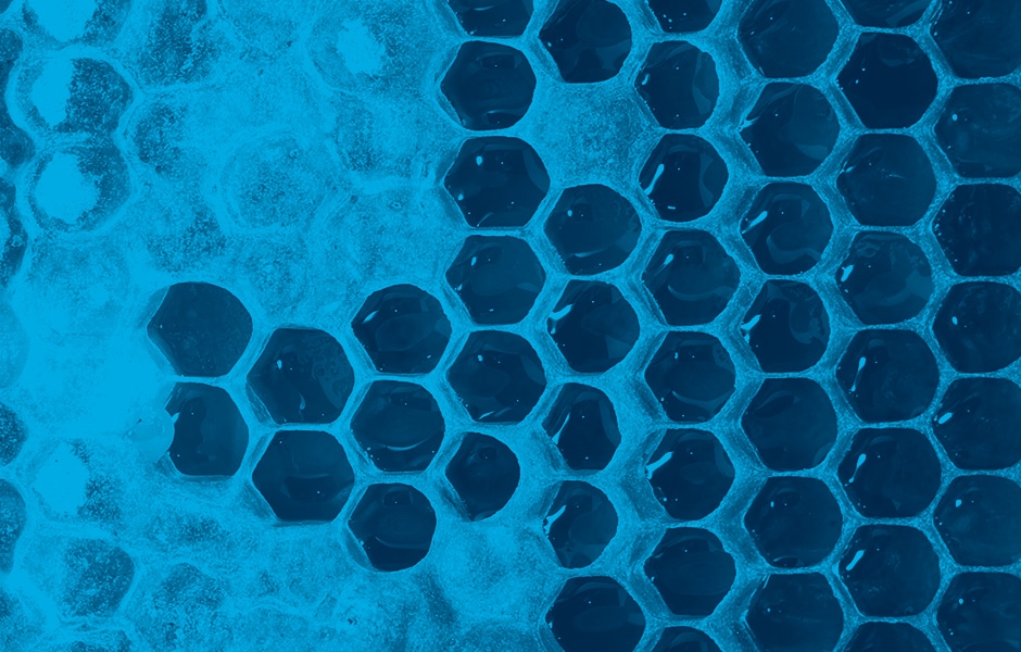 CME Group FX Position Watch, produced by Macro Hive